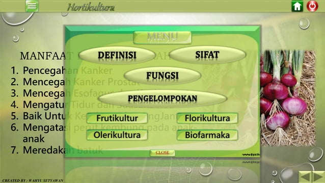 Tanaman Hortikultura (Ms. PPt 2013) | PPTX