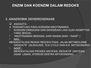 Oksidasi biologi | PPT