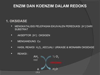 Oksidasi biologi | PPT
