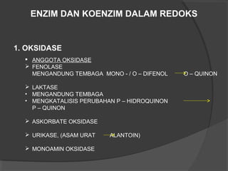 Oksidasi biologi | PPT