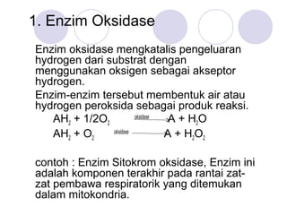 Oksidasi Biologi dan Bioenergetika | PPT