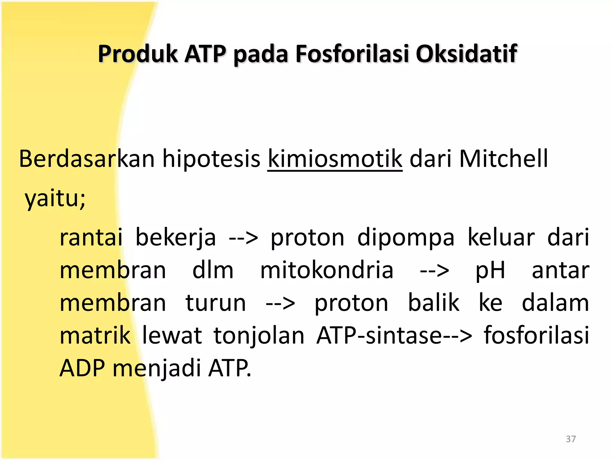 Oksidasi Biologi & Rantai Respirasi (1).pptx