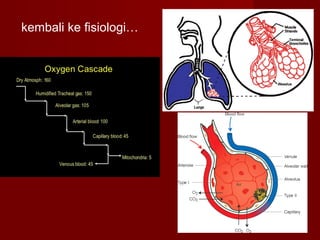 Oksigen terapi | PPT