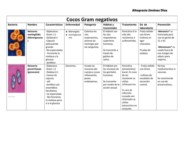 Tabla de bacterias Gram positivas y Gram negativas de Importancia ...