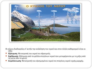 O kykλοσ του νερου | PPT