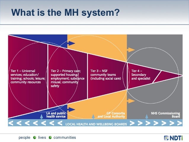 Overview of the mental health system - for Older Leaders 4 Change