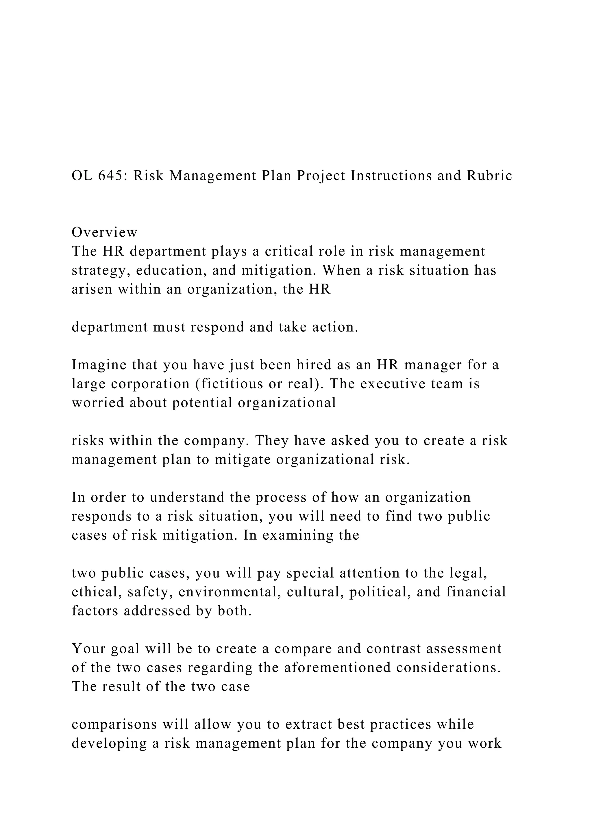 OL 645 Risk Management Plan Project Instructions and Rubric.docx