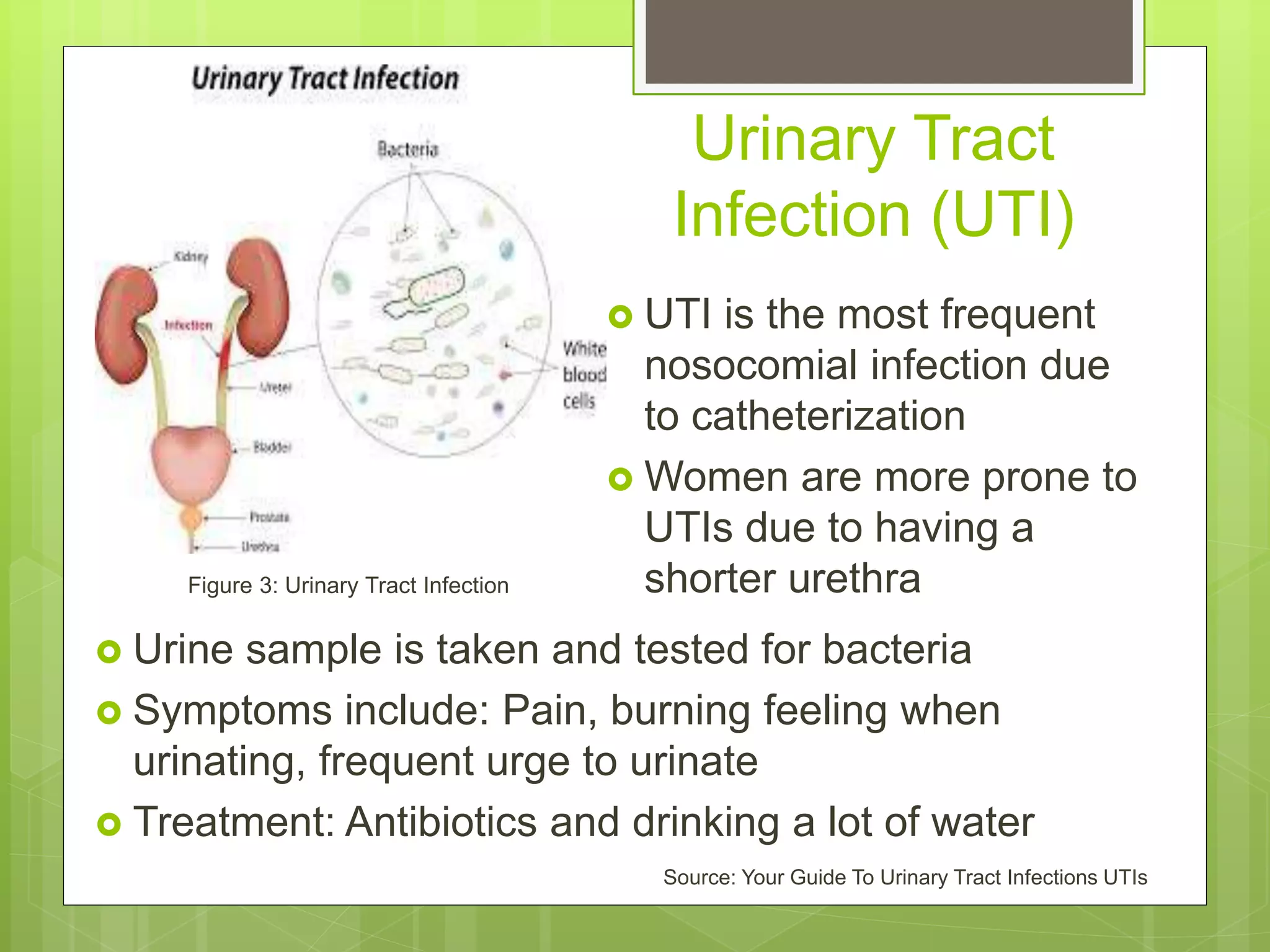 Urinary System | PPTX | Infectious Diseases | Diseases and Conditions