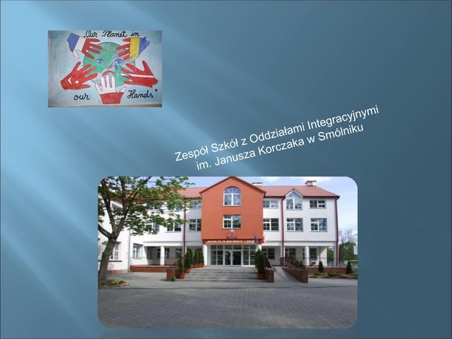 Cleaning up the environment-Poland | PPT