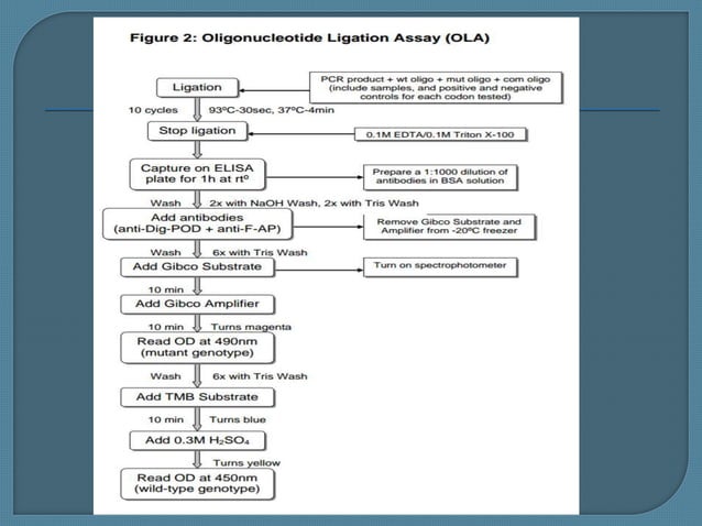 Oligonucleotide ligation assay | PPTX