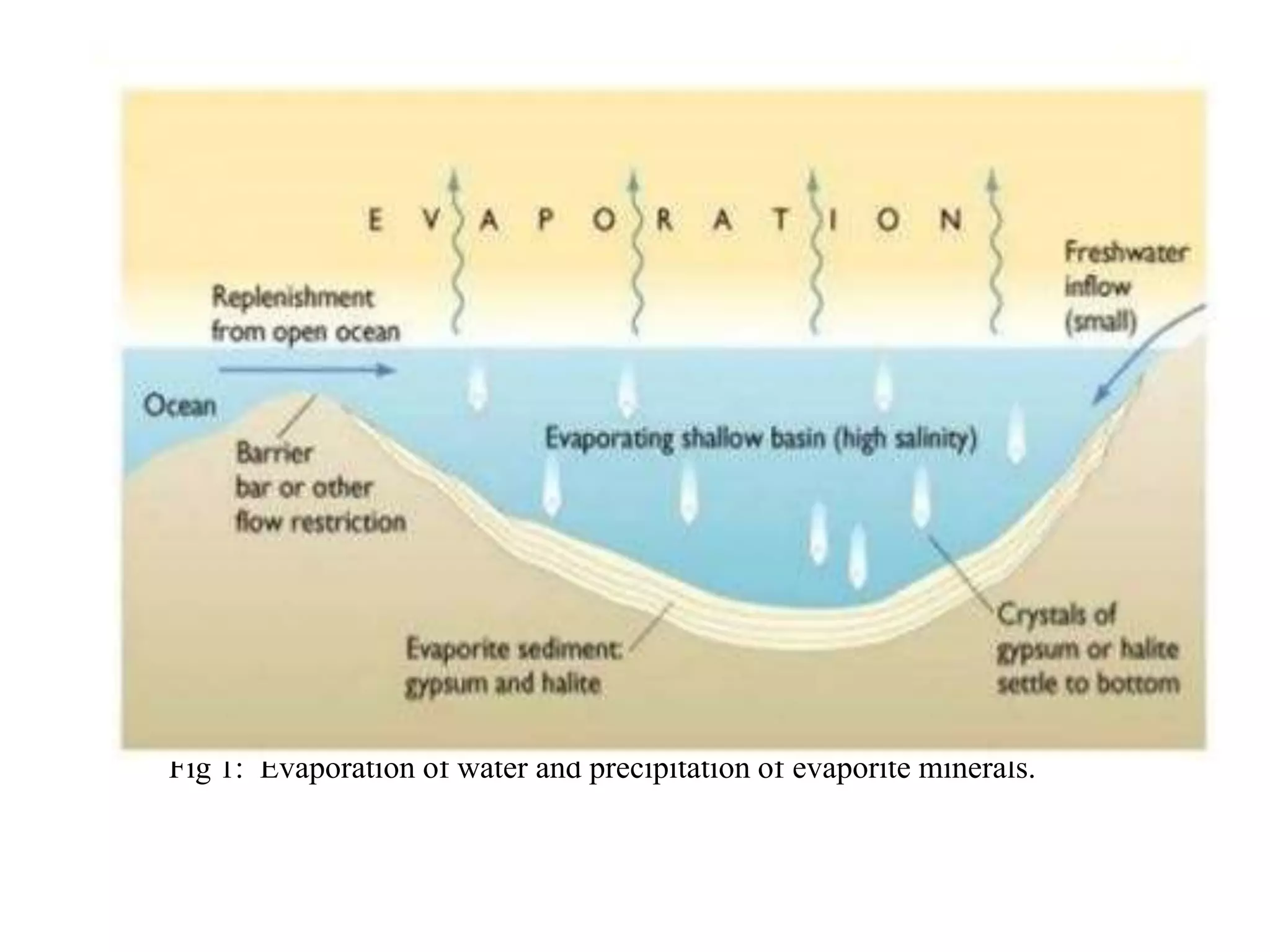 Oladimeji evaporite presentation | PPTX