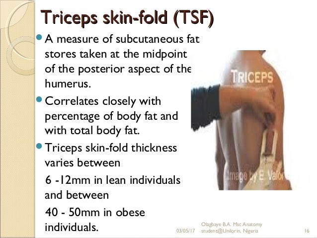 Anthropometry and Physical Charateristics in man