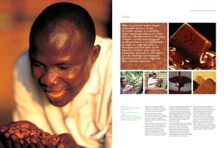 Olam Brochure | PDF