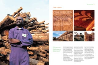 Olam Brochure | PDF