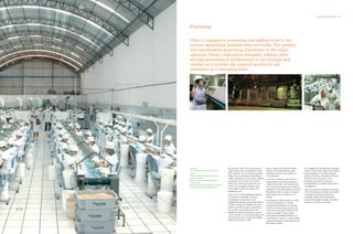 Olam Brochure | PDF