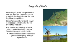 Informații despre Olanda Olanda Olanda.pptx