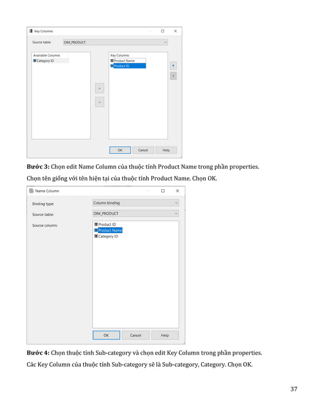 olap_report using ssis, ssas, power bi, data mining | PDF