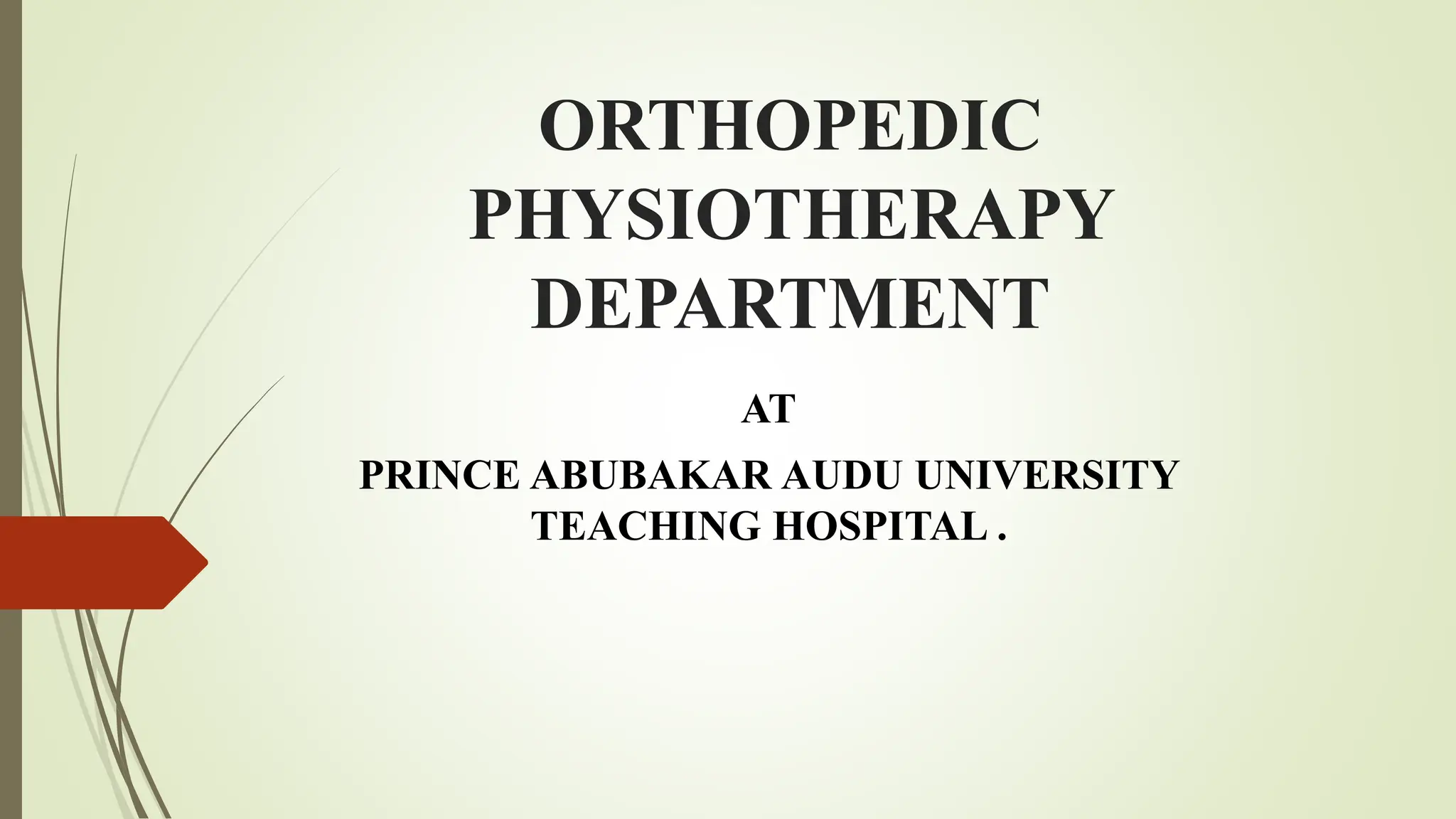ola's_powerpoint on the orthopedic Physiotherapy [1].pptx | Physical ...