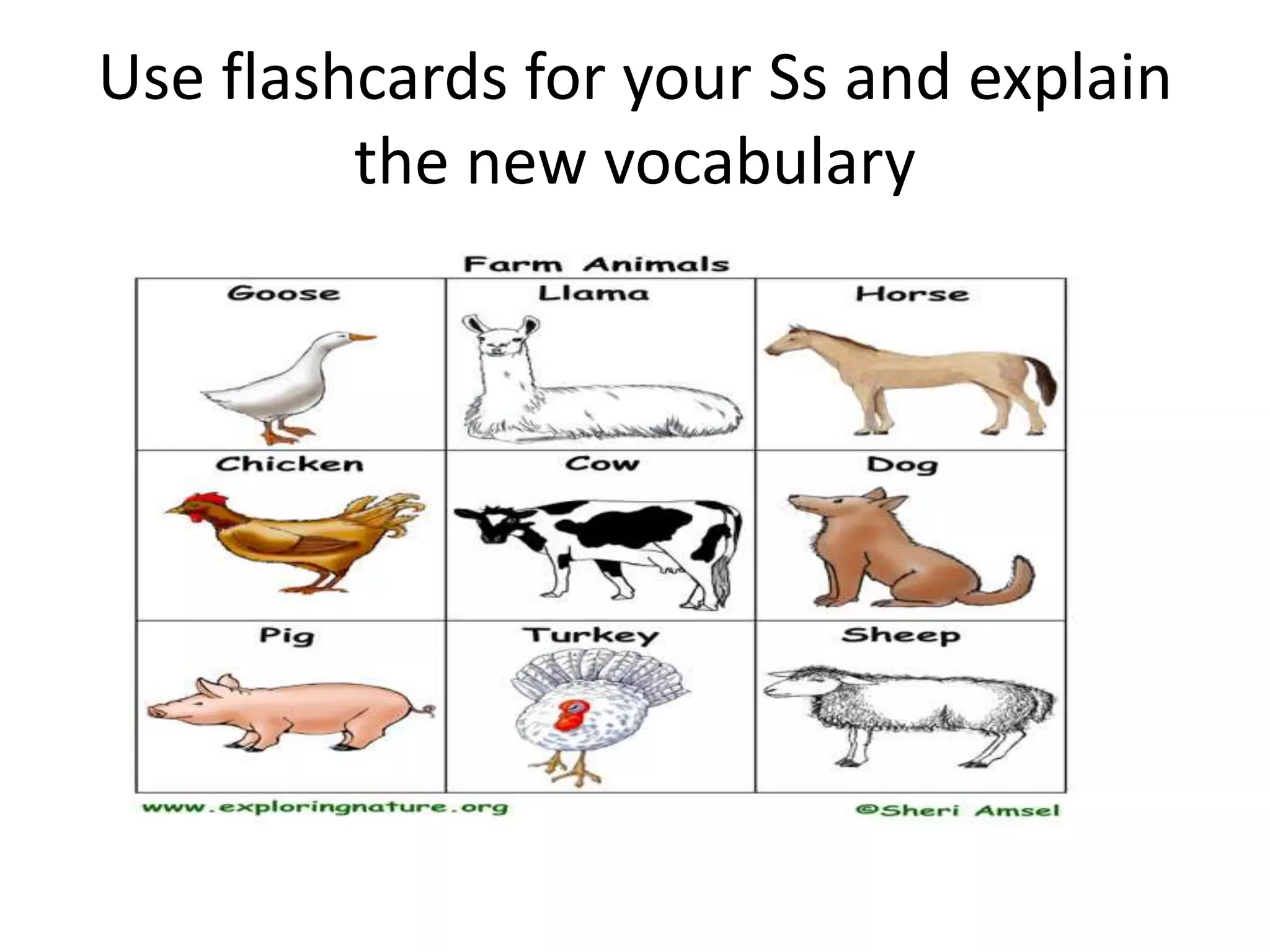 teach animals | PPTX