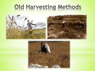 Old and new_farming | PPTX