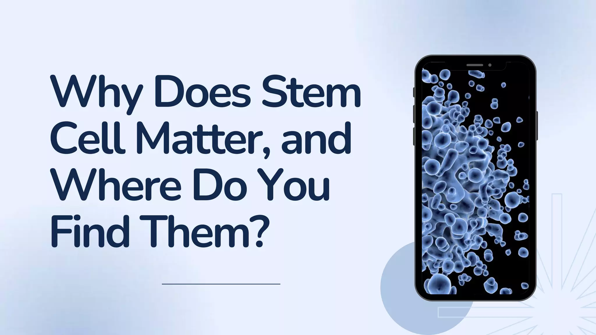 Why Does Stem Cell Matter, and Where Do You Find Them? - Dr. David ...