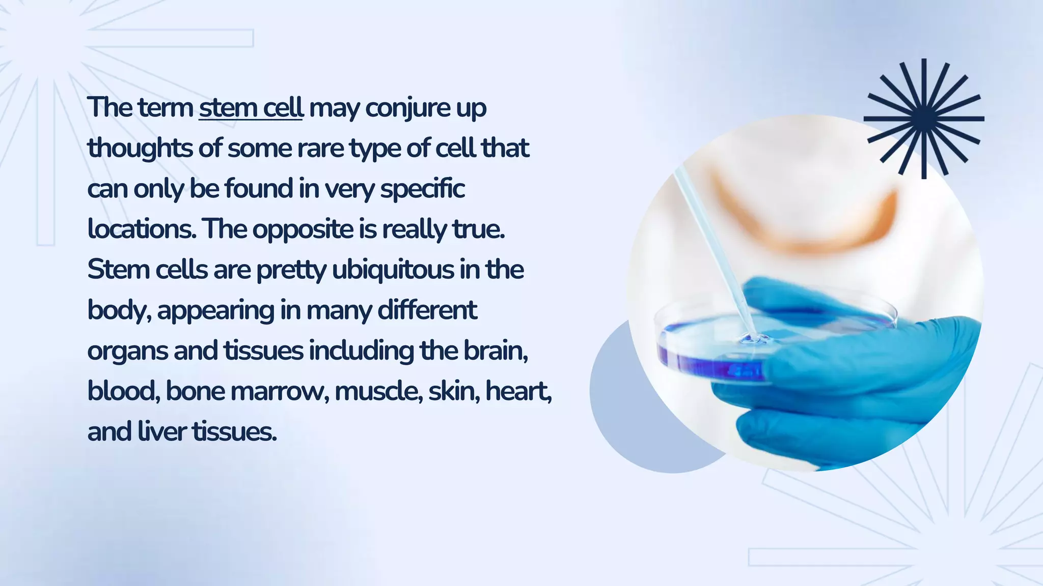 Why Does Stem Cell Matter, and Where Do You Find Them? - Dr. David ...