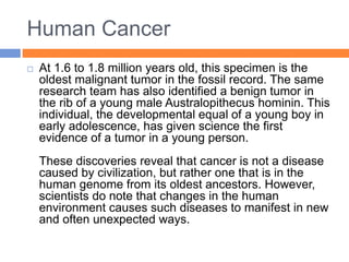 Oldest Evidence of Human Cancer Found in Africa | PPTX