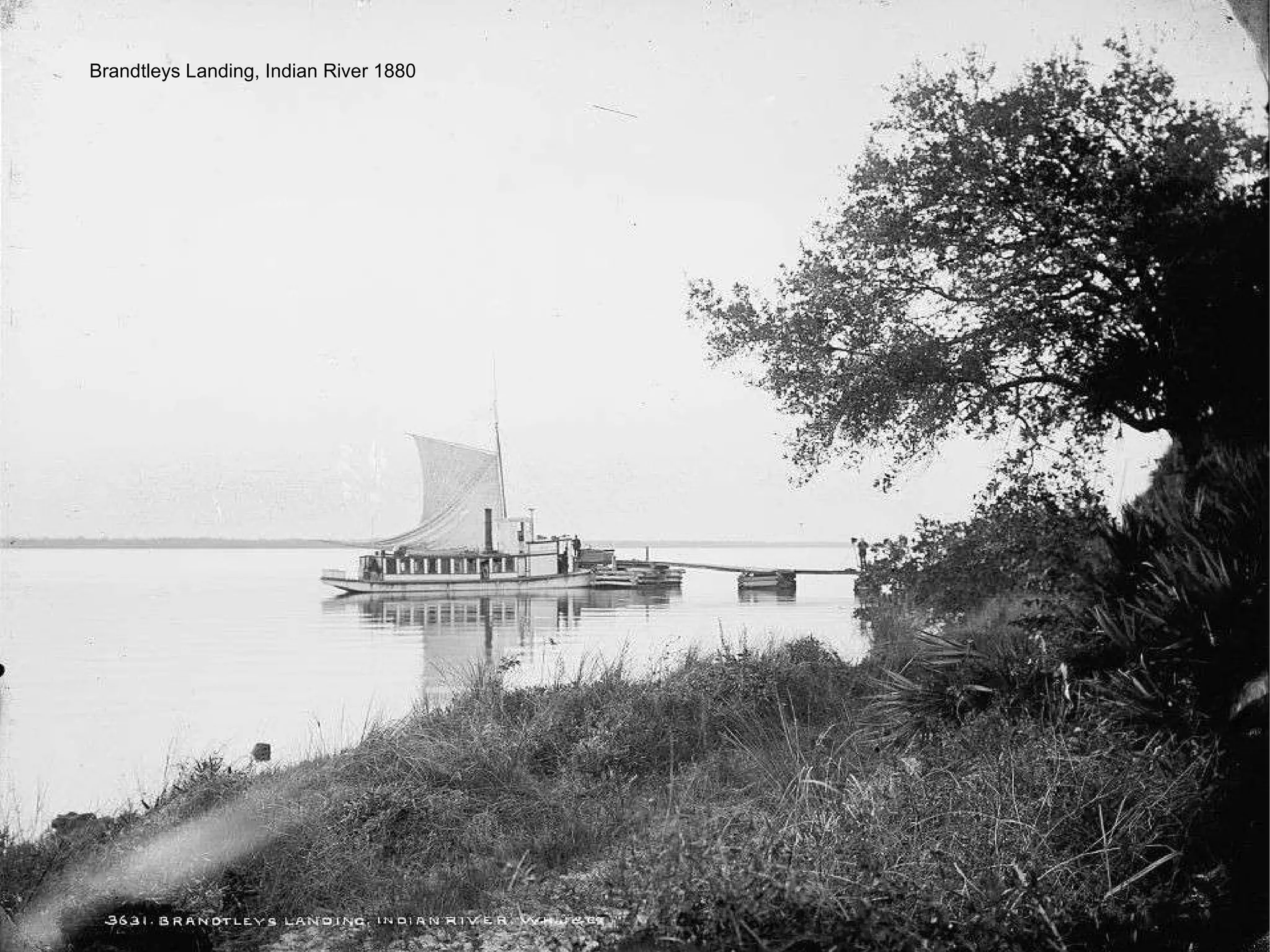 Old florida 1880 1903 | PPS