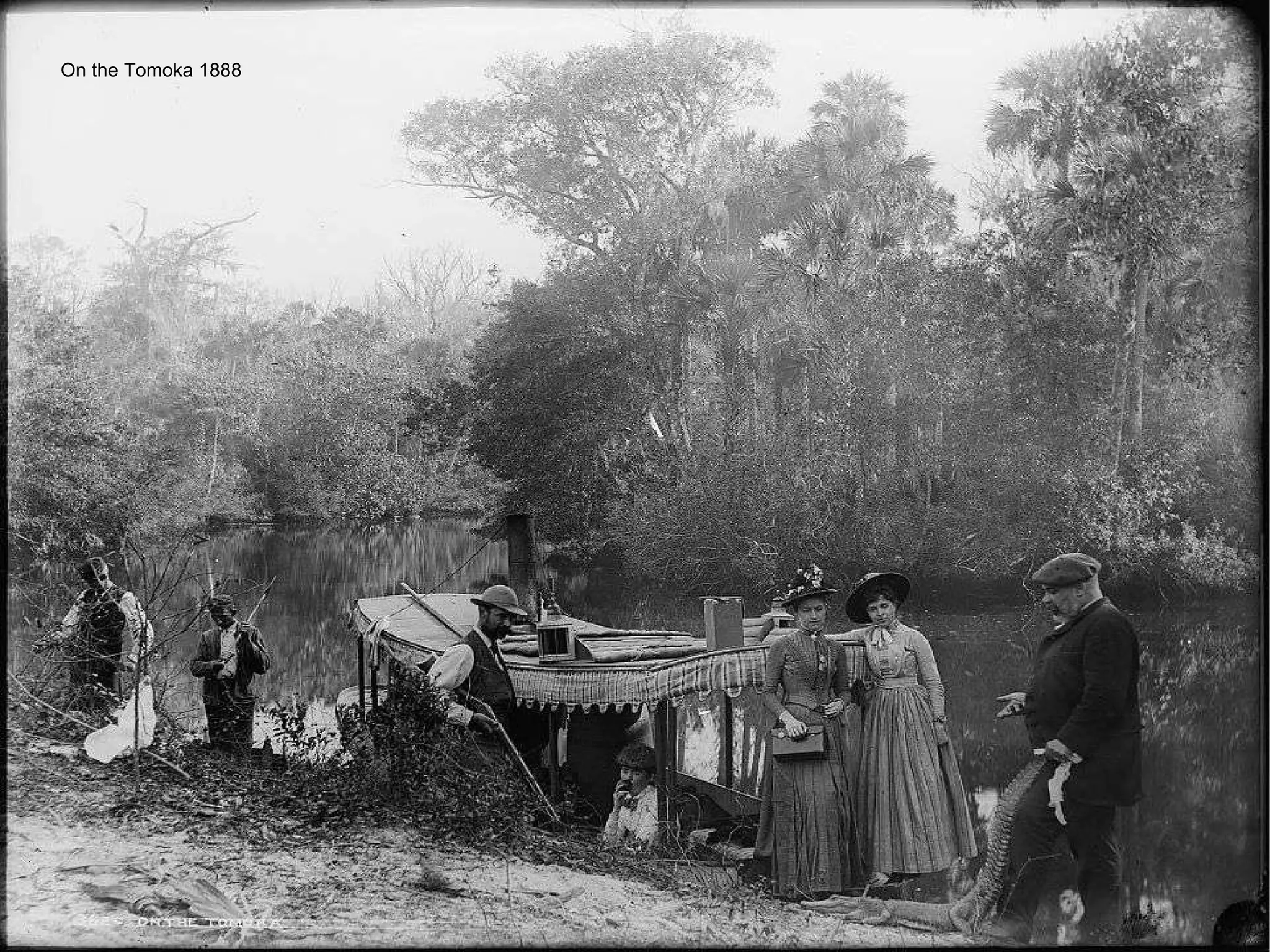 Old florida 1880 1903 | PPS