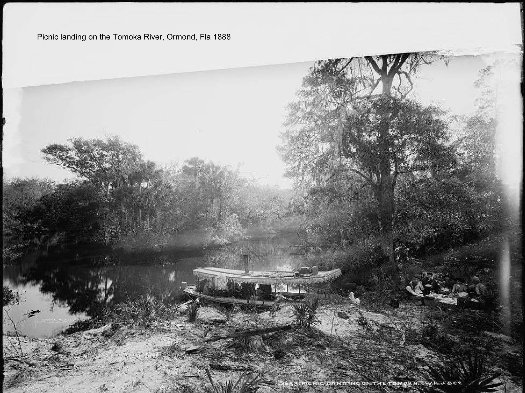 Old florida 1880 1903 | PPS