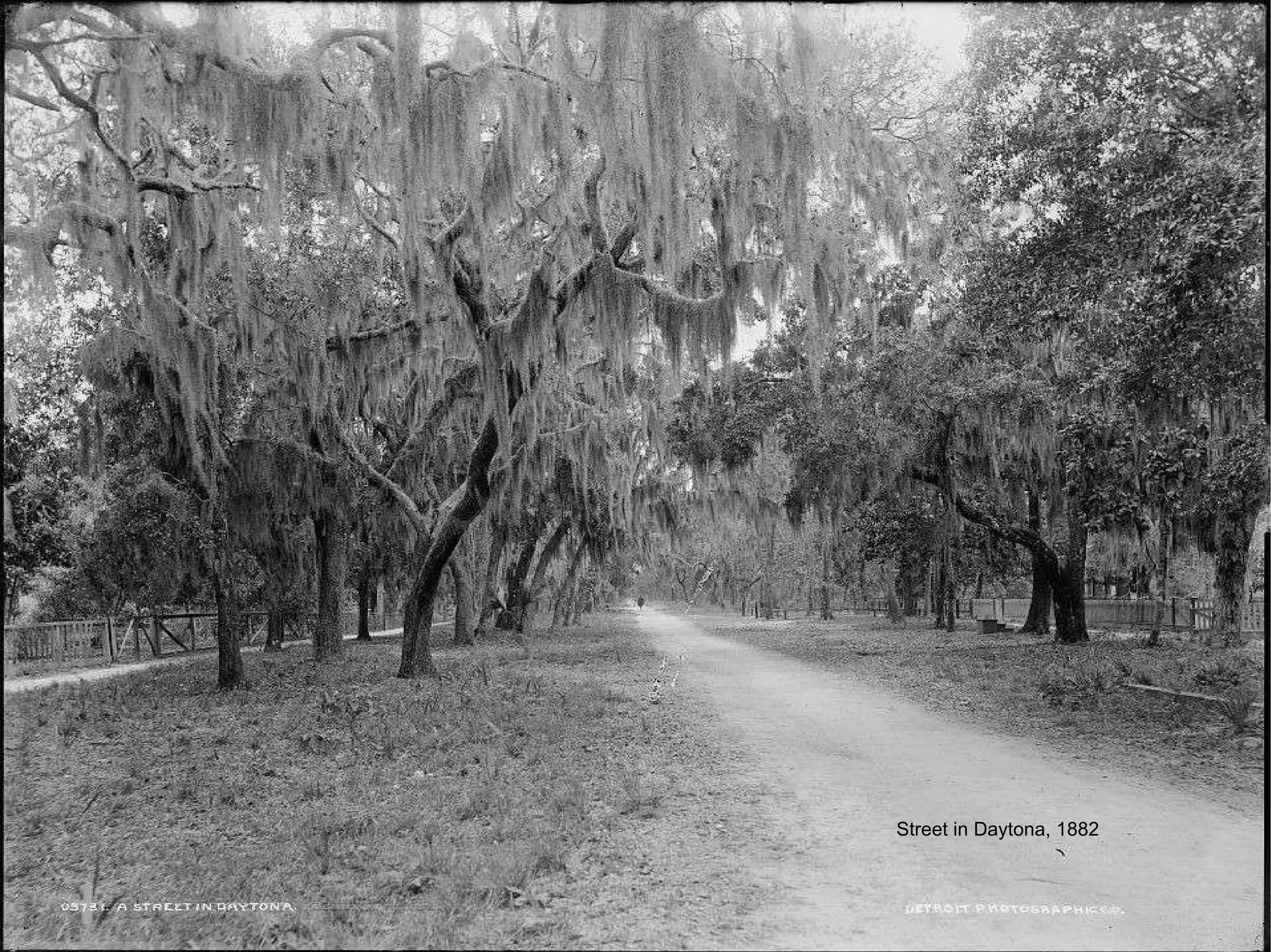 Old florida 1880 1903 | PPS