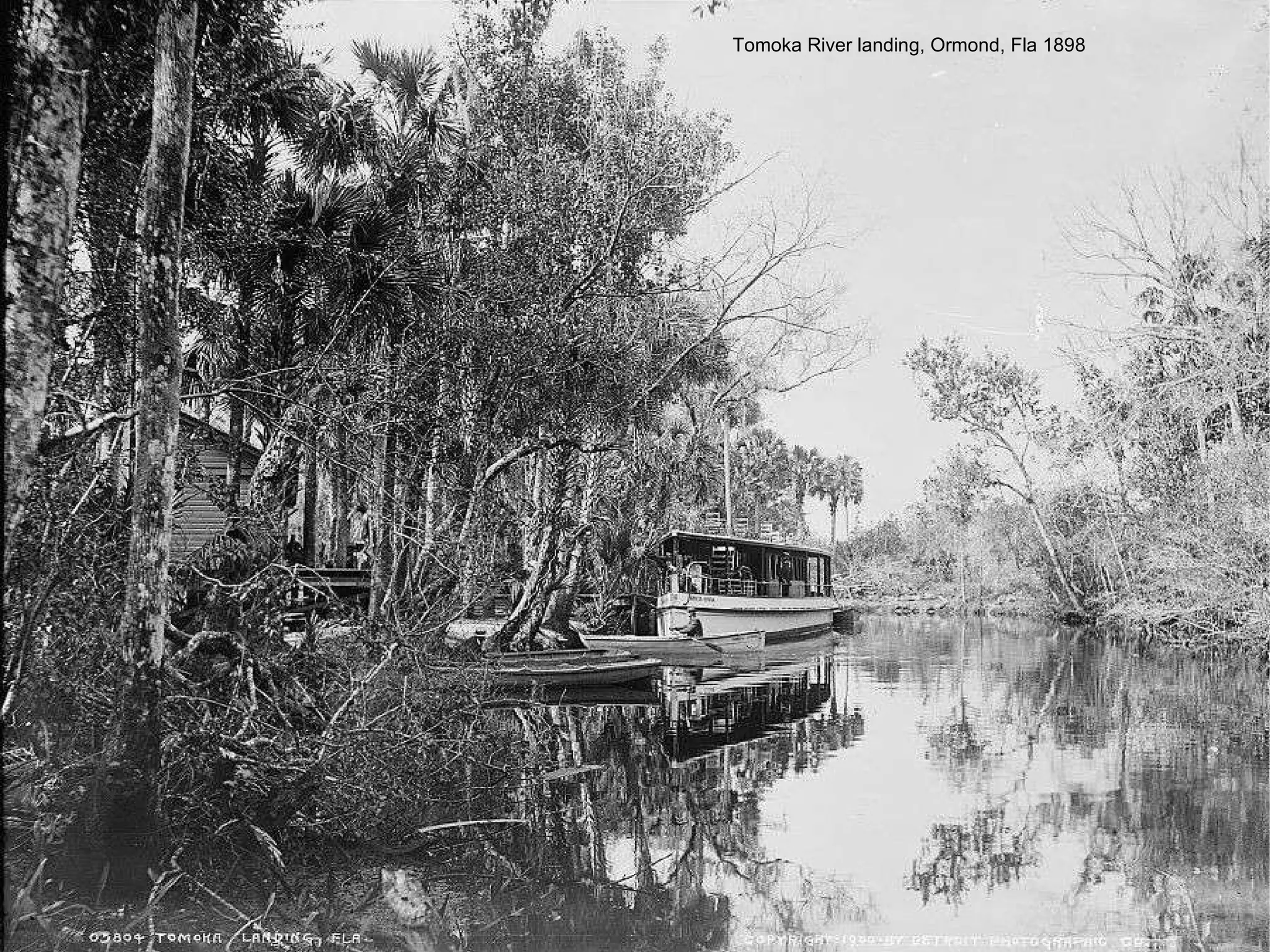Old florida 1880 1903 | PPS