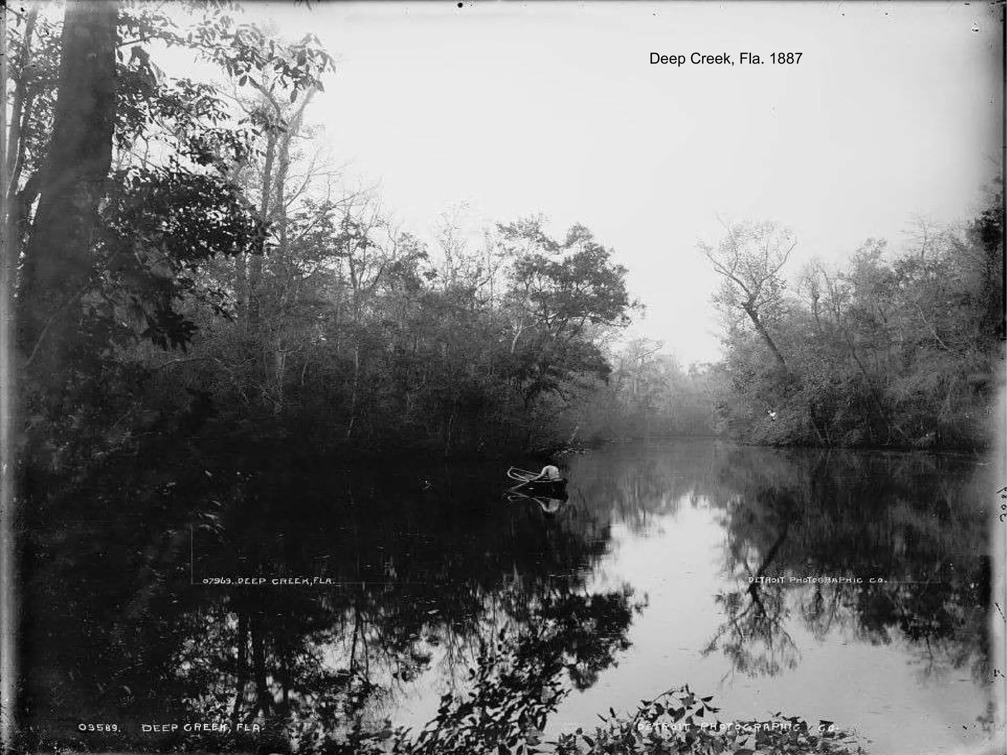 Old florida 1880 1903 | PPS