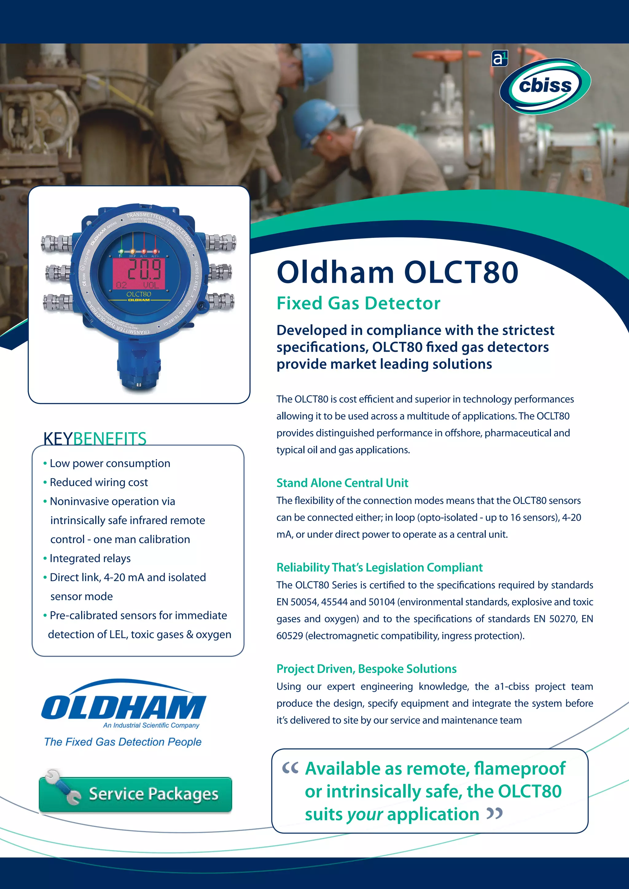 Oldham OLCT80 Gas Detector | PDF