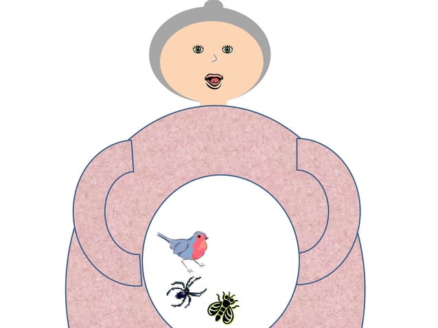 Old Lady Who Swallowed A Fly | PPT