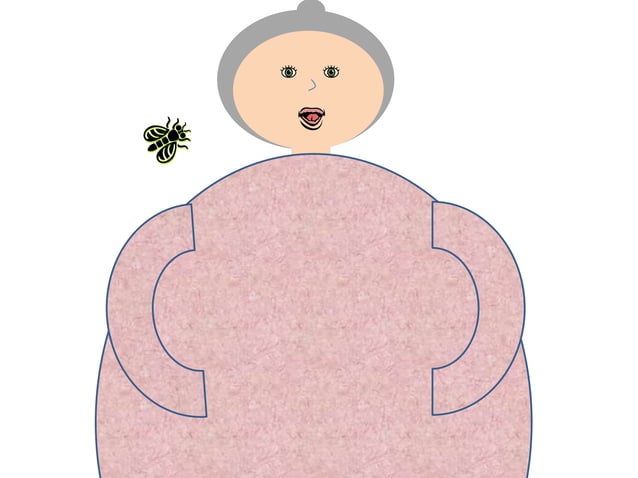 Old Lady Who Swallowed A Fly | PPTX