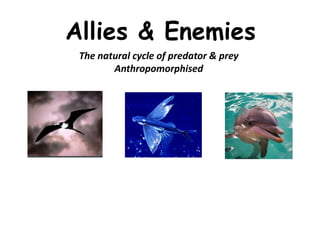 Old Man And The Sea Text Exploration Part 2 | PPTX