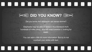 Old movie intro aesthetic · SlidesMania.pptx