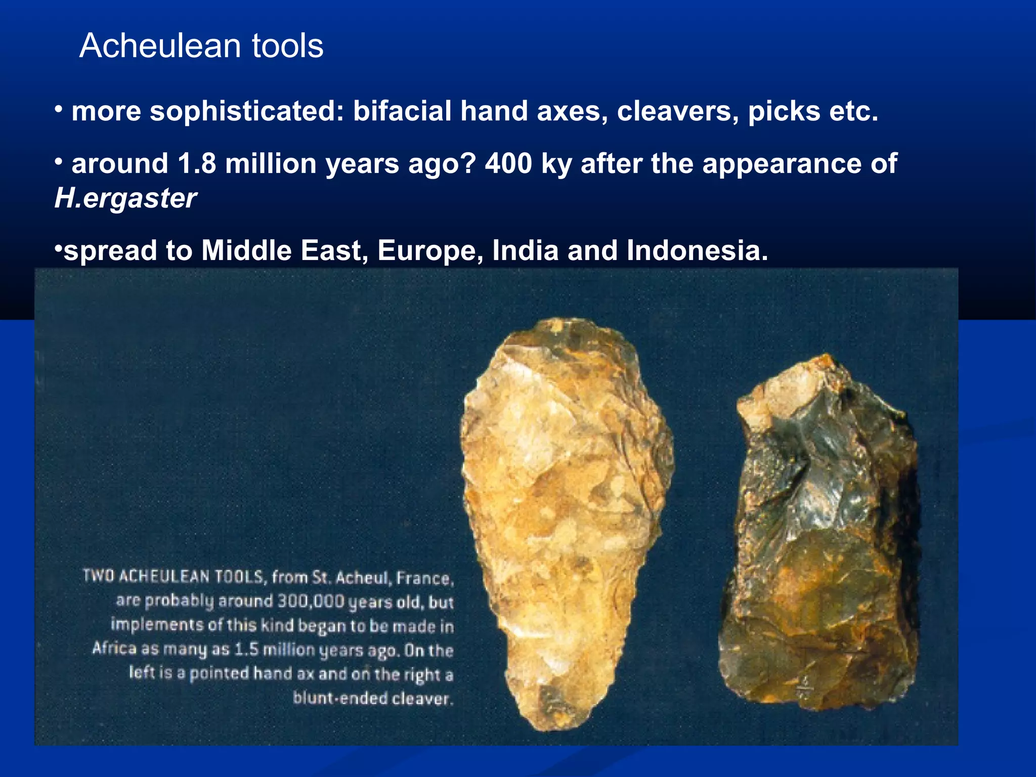 Oldowan acheulean | PPT