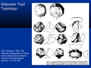 Oldowan acheulean | PPT