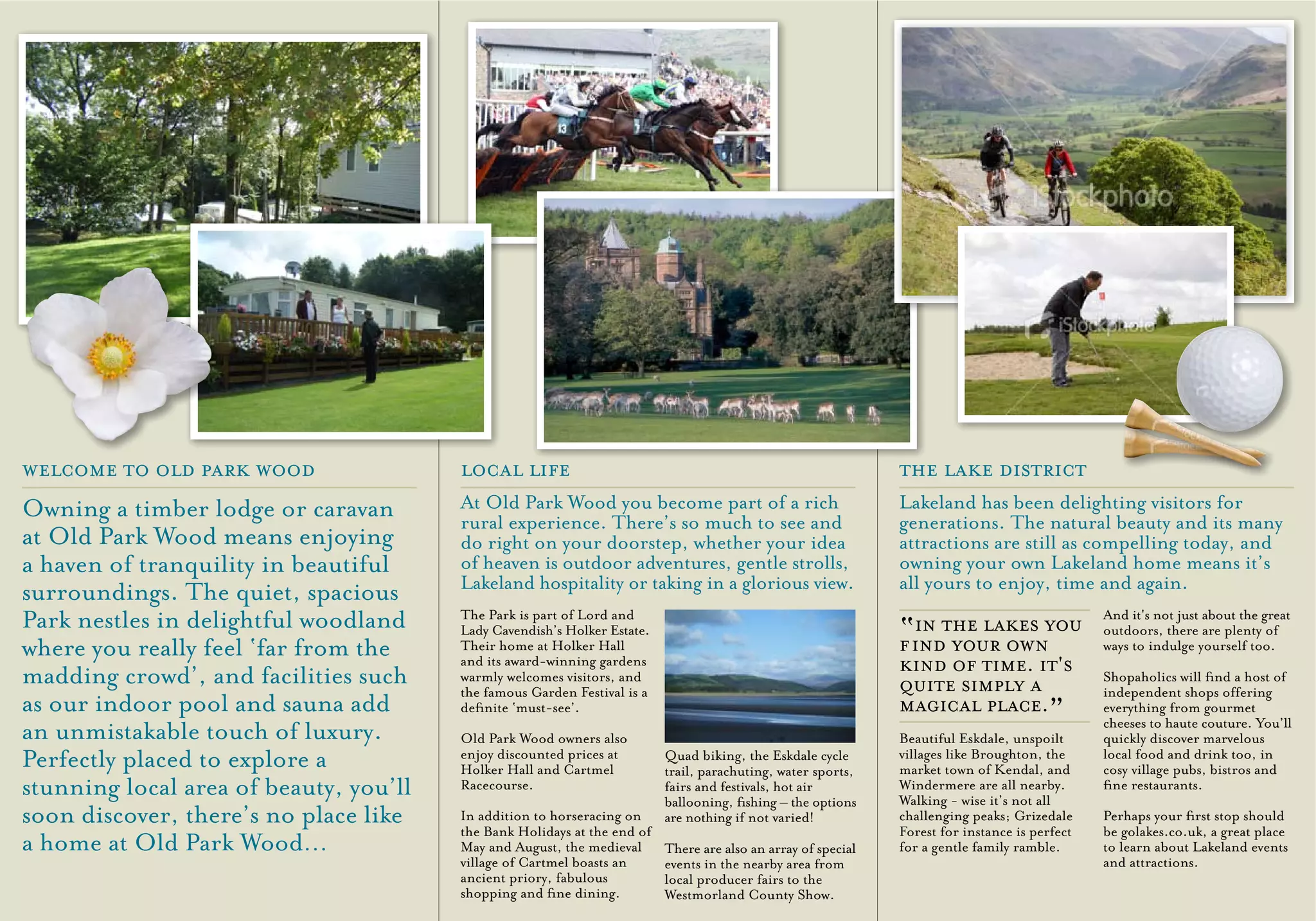 Old park wood leaflet v2 | PDF