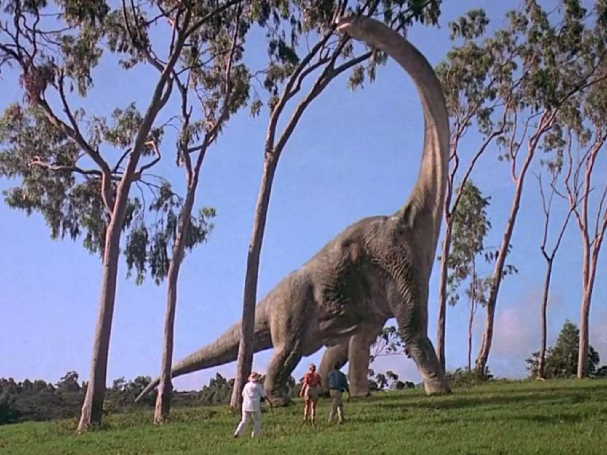 Demons & Angels in the Bible (Old Testament) | PPTX