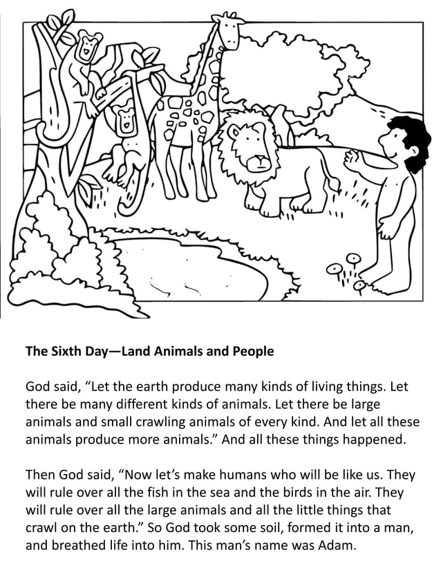 Old Testament Stories for Children - Coloring Book | PDF | Christianity ...