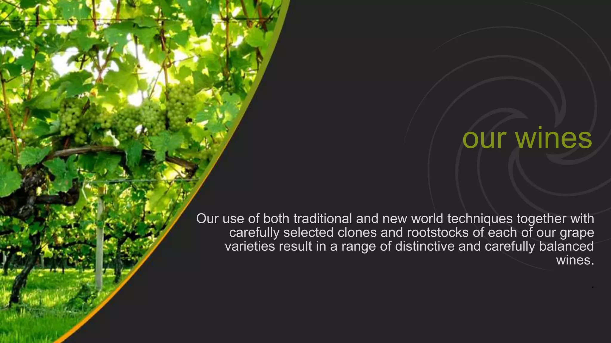 Beautiful vineyard powerpoint presentation | PPTX