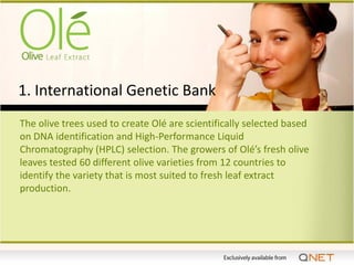 Ole Leaf Extract Presentation QNet | PDF