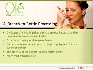Ole Leaf Extract Presentation QNet | PDF