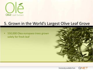 Ole Leaf Extract Presentation QNet | PDF