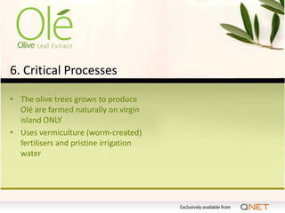 Ole Leaf Extract Presentation QNet | PDF
