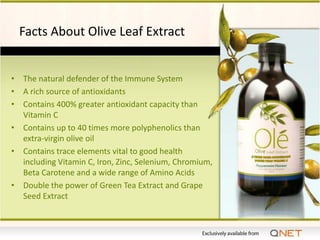 Ole Leaf Extract Presentation QNet | PDF