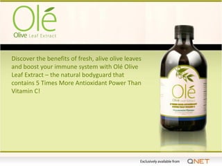 Ole Leaf Extract Presentation QNet | PDF